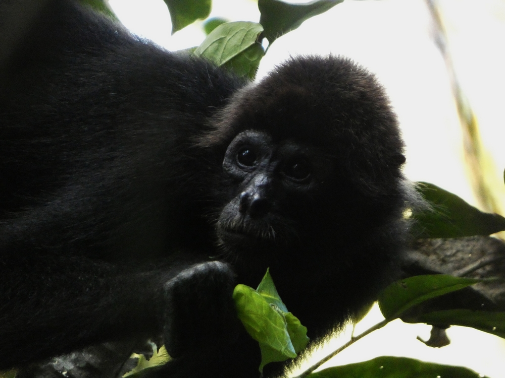 Samedi 25 mai 2024 : Journée Nature Solidaire au Naturospace